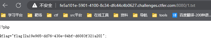 CTFWEB-RCE篇 | 狼目安全